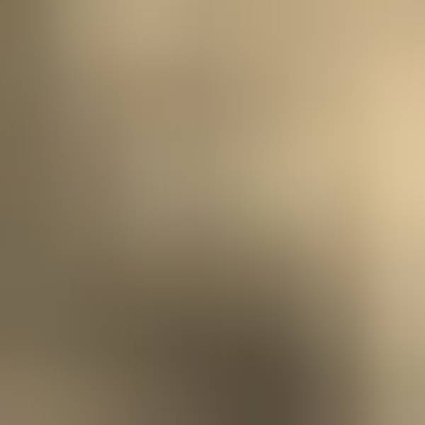 Lady_Zee (@lady_zee_officiall) | Photos & Videos on Glamino